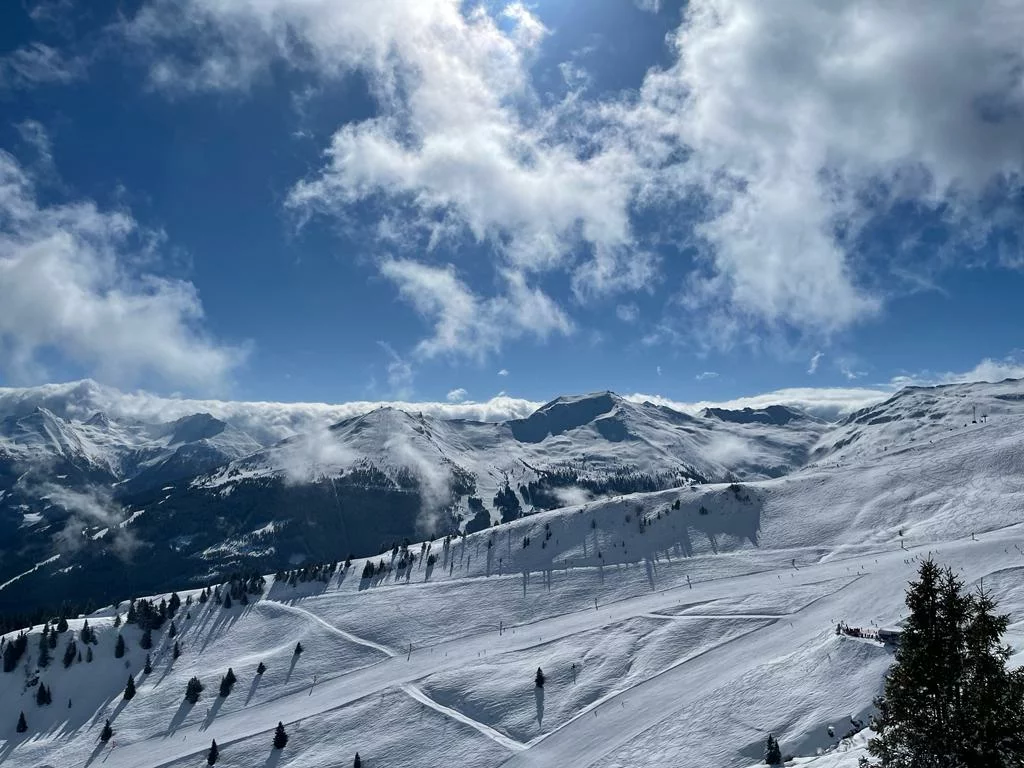 BUSCHI 2024 - Podestplätze für Heimat Österreich