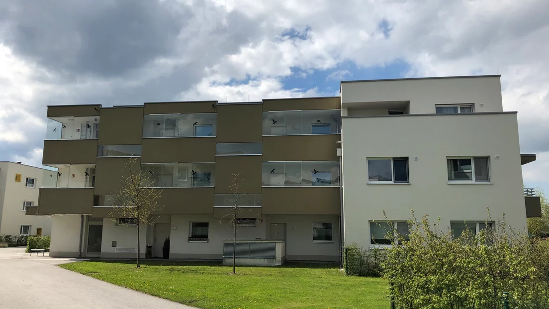 Moosstraße | Heimat-Oesterreich